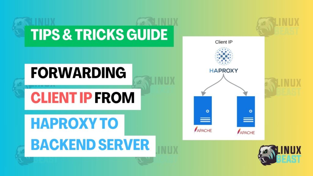 Forwarding Client IP Addresses from HAProxy to Apache2 Web Server | Linuxbeast